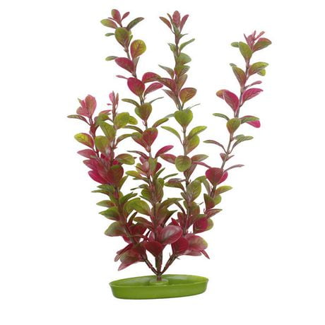 Click here for Marina Aquascaper Plastic Plant  Red Ludwigia Red prices