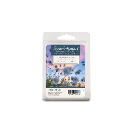 Click here for Scentsationals Scented Wax Cubes - Cotton Grass Wh... prices