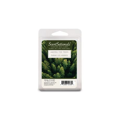Click here for Scentsationals Scented Wax Cubes - Among The Trees... prices