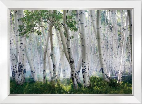 Click here for Canadiana Art Up In The Clouds Framed Print By Mik... prices