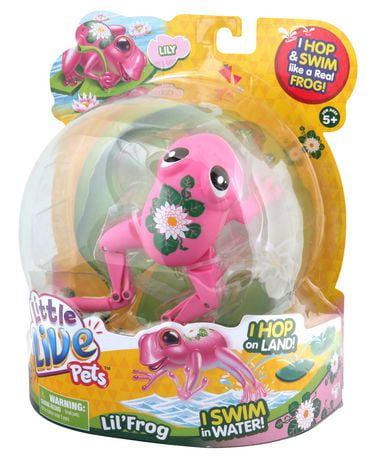Little Live Pets Lil' Frog - Splashberry the Sweet Frog | Walmart Canada