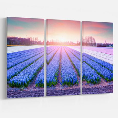 Click here for Design Art Field Of Blooming Hyacinth Flowers Canv... prices