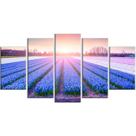 Click here for Design Art Field Of Blooming Hyacinth Flowers Canv... prices