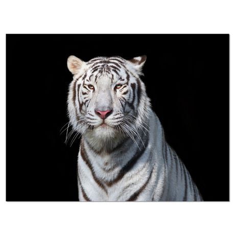 Click here for Design Art Stunning White Bengal Tiger Canvas Prin... prices