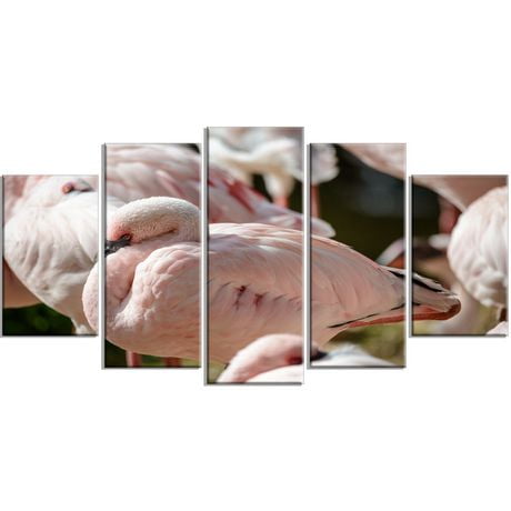 Click here for Design Art Pat Of Flamingos Close Up Canvas Print... prices