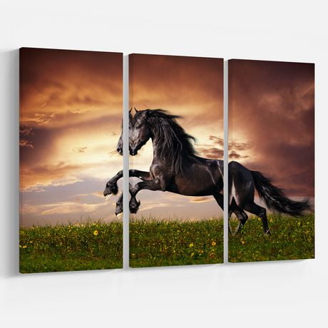 Click here for Design Art Black Friesian Horse Gallop Canvas Prin... prices