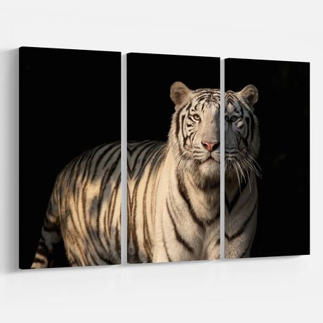 Click here for Design Art White Bengal Tiger On Black Canvas Prin... prices
