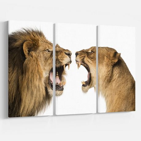 Click here for Design Art Lion And Lioness Roaring Canvas Print B... prices