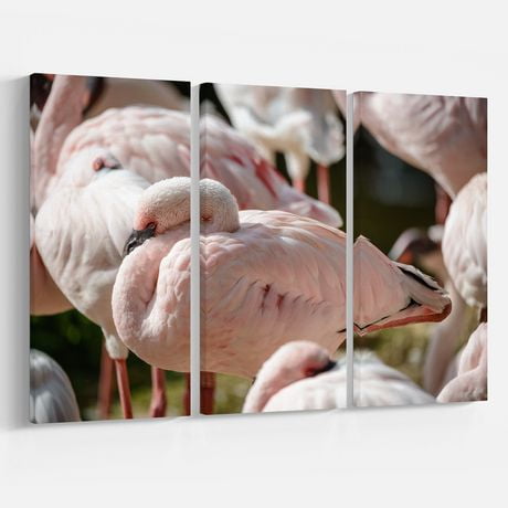 Click here for Design Art Pat Of Flamingos Close Up Canvas Print... prices