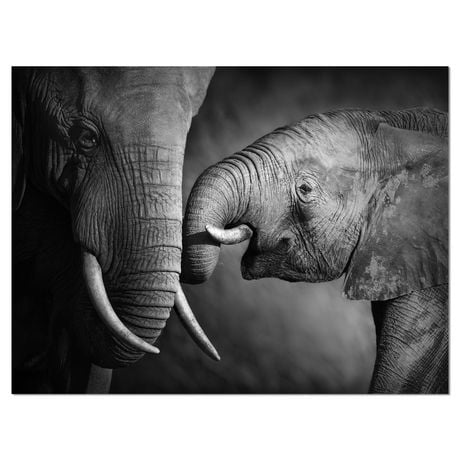 Click here for Design Art Elephants Showing Affection Canvas Prin... prices