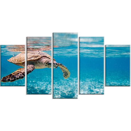 Click here for Design Art Large Hawksbill Sea Turtle Canvas Print... prices