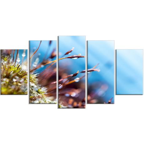 Click here for Design Art Moss Flowers In Summer Spring Canvas Pr... prices