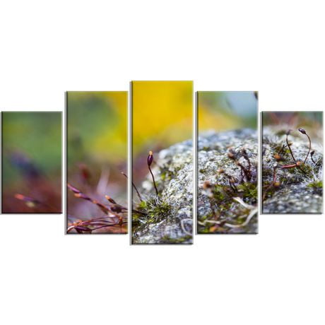 Click here for Design Art Composition Of Moss Flowers Canvas Prin... prices