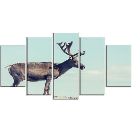 Click here for Design Art Large Reindeer In Norway Canvas Print B... prices