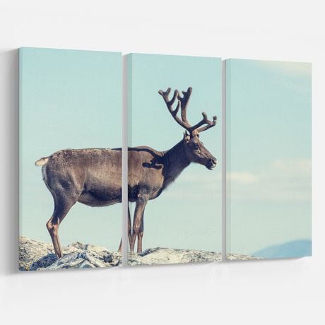 Click here for Design Art Large Reindeer In Norway Canvas Print B... prices
