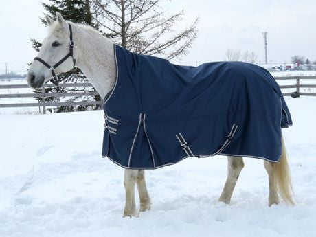 Cool Runners Horse Turn out Insulated Blankets 78” - Walmart.ca