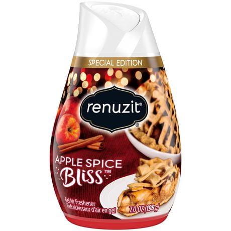 Renuzit Air Freshener, Holiday Apple Spice Bliss | Walmart Canada