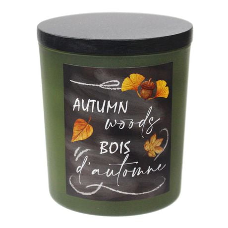 Autumn Woods scented frosted glass candle | Walmart Canada