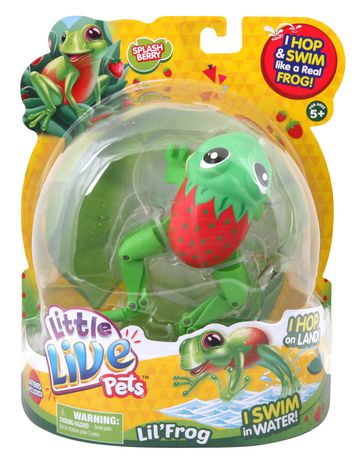 Little Live Pets Lil' Frog - Lily the Peaceful Frog - Walmart.ca