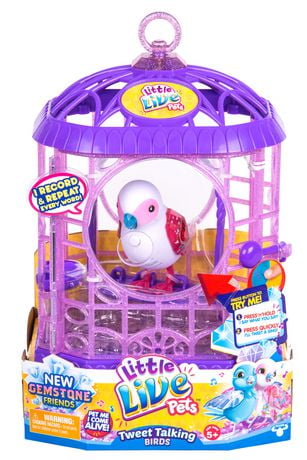 Little Live Pets Bessie Bestie-Bird Cage Talking Birds - Walmart.ca