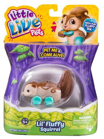 Little Live Pets Lil' Fluffy Squirrel Donutty Pet Doll - Walmart.ca