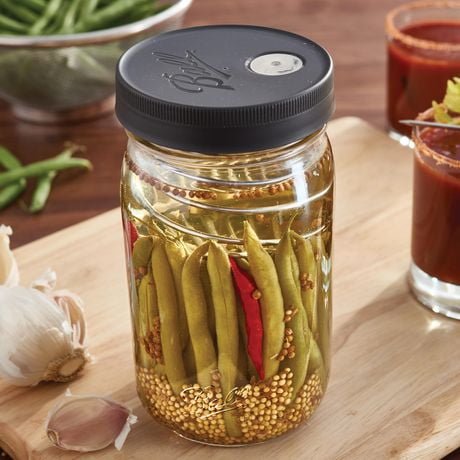 Ball Fermentation Replacement Kit | Walmart Canada