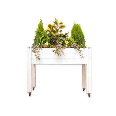 Click here for Vita Sunseeker Rolling Planter White Small prices