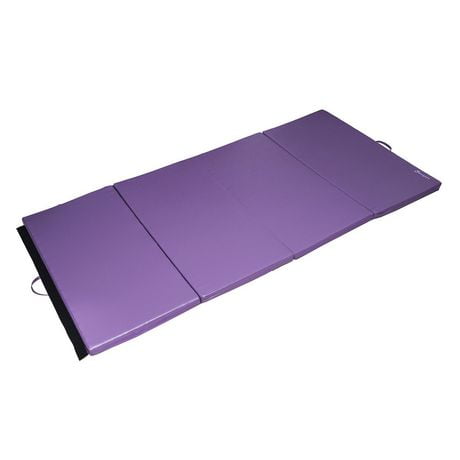 Click here for Soozier 4X8 Gym Mat Purple Other prices