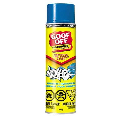 Goof Off Graffiti Remover 454g (16oz) Aerosol - Walmart.ca