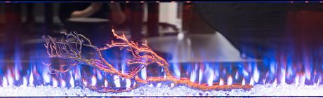 Click here for Paramount Decorative Branch For Electric Fireplace... prices