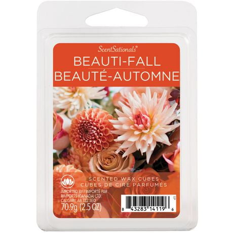 ScentSationals Scented Wax Cubes -Beauti-Fall | Walmart Canada