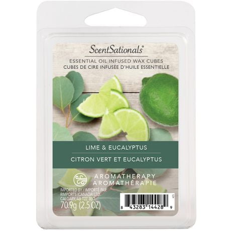 ScentSationals Scented Wax Cubes - Citrus & Eucalyptus Leaf, 2.5 oz (70 ...