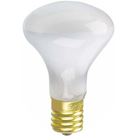 Globe Electric 25W Floodlight R14 Incandescent Light Bulb, E17 ...