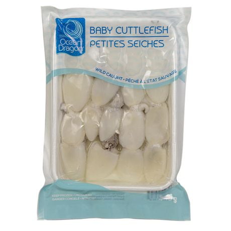 Ocean Dragon Baby Cuttlefish | Walmart Canada