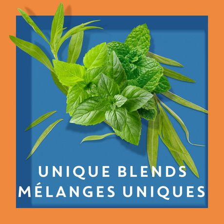 Tazo Refresh Mint Herbal Tea | Walmart Canada