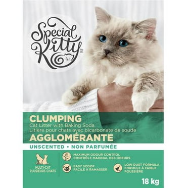 Special Kitty Clumping Cat Litter with Baking Soda - Unscented, 18 Kg ...