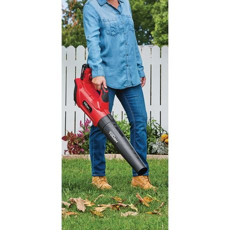 Hyper Tough 20V Max Cordless Turbine Blower, RD20BL | Walmart Canada