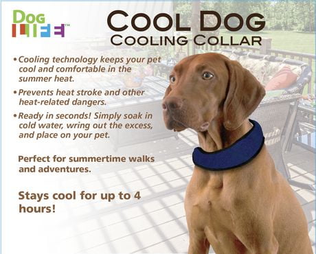 Click here for Penn-Plax Cooling Collar Blue Medium prices