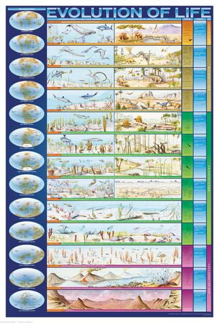 Eurographics The Evolution of Life - Walmart.ca