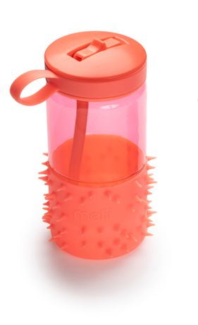 Toddler and Kids Spikey Water Bottle with Straw and handle - Walmart.ca