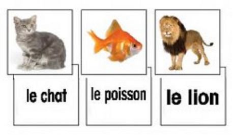 French Most Common Animals Flashcards | Walmart Canada