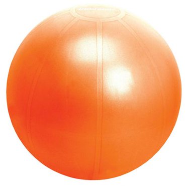 Everlast Fitness Ball - Walmart.ca