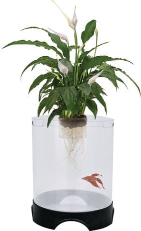 Click here for Penn-Plax Aquaponic Tank prices