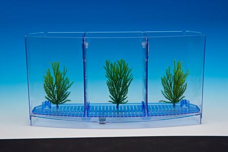 Click here for Penn-Plax Triple Betta Tank Multicolor prices