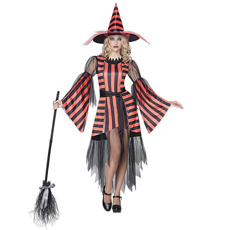 PARTYHOLIC STRIPED WITCH COSTUME MEDIUM - Walmart.ca