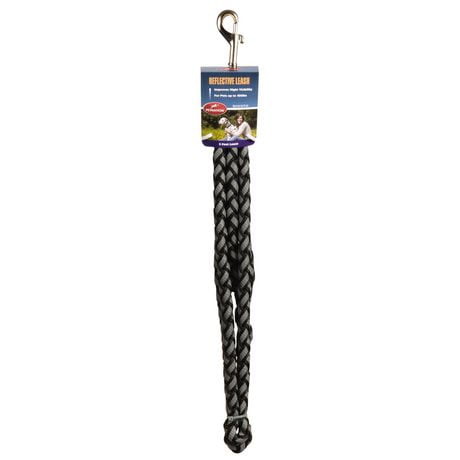Click here for Spectrum Pet Nation Black Braided Reflective Safet... prices