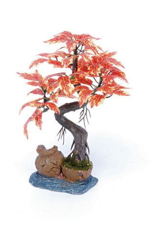 Click here for Penn-Plax Bonsai Tree Red prices