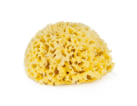 Click here for Bellini Honeycomb Bath Sponge Natural Sea Sponge M... prices