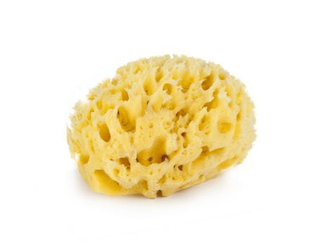 Click here for Bellini Honeycomb Bath Sponge Natural Sea Sponge S... prices