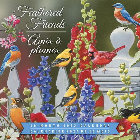 Feathered Friends | 2023 12x24 Inch Square Wall Calendar | Walmart Canada